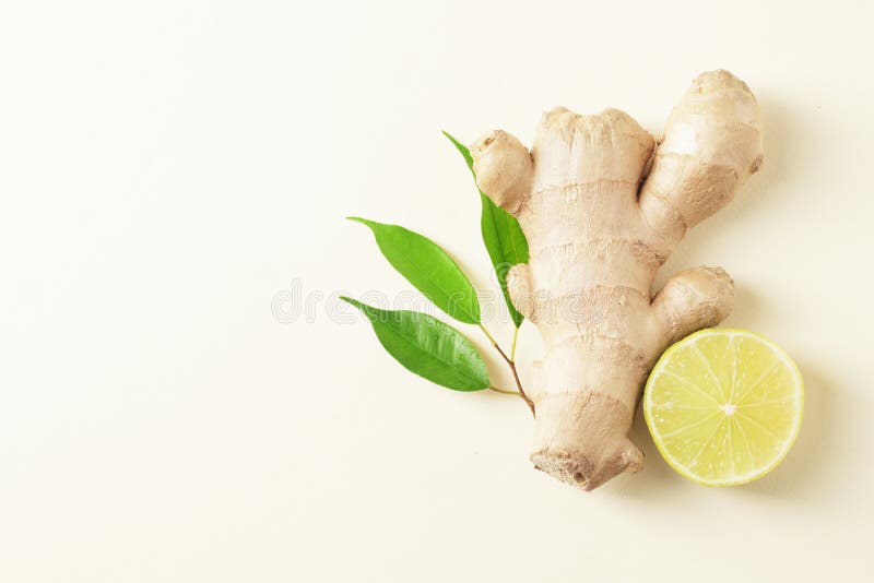 Composition of Fresh Ginger Root with Lime Stock Photo - Image of ...