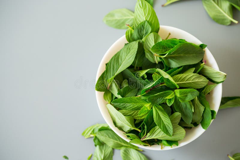 Composition with Fresh Mint on Gray Surface from Above Stock Photo ...