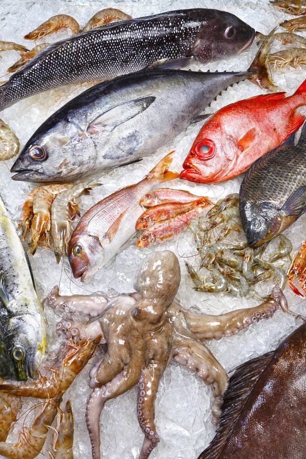 Composition of Frozen Seafood Stock Image - Image of catch, fillets ...