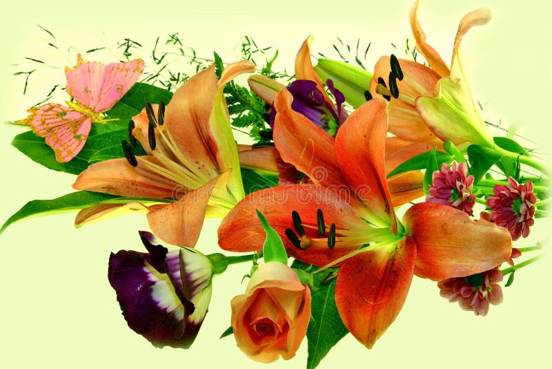 Composition on glass stock photo. Image of floristics - 5535914