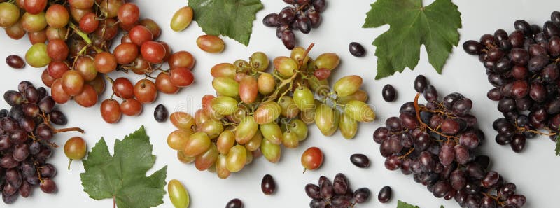Composition with Grape and Leaves on White Stock Photo - Image of ...
