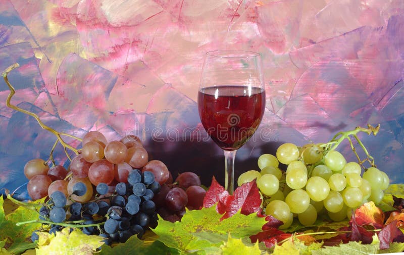 Composition from grapes stock image. Image of decoration - 6928273
