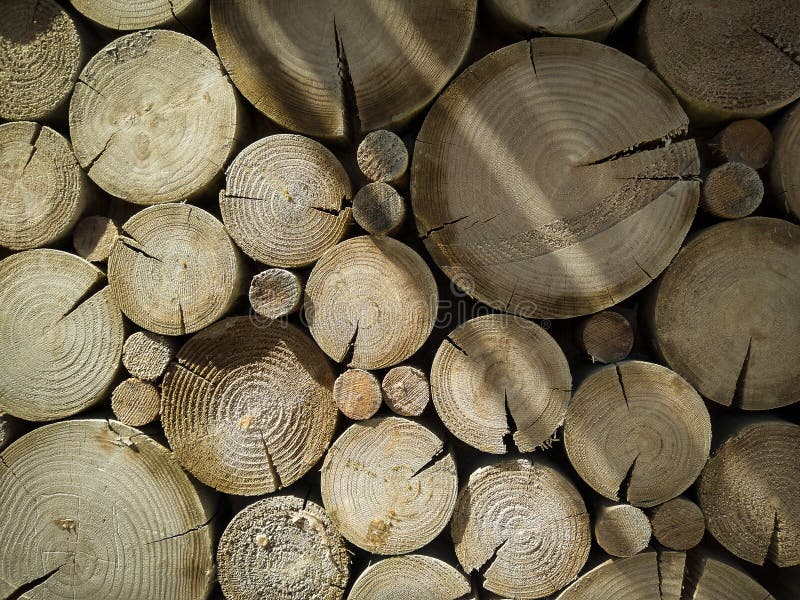 Background with Composition of Logs and Side Shadow Stock Image - Image ...