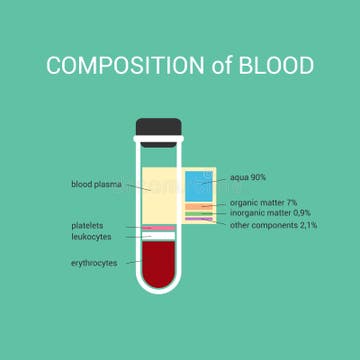 The Composition of Human Blood in Vitro Composition Plasma Stock Vector ...