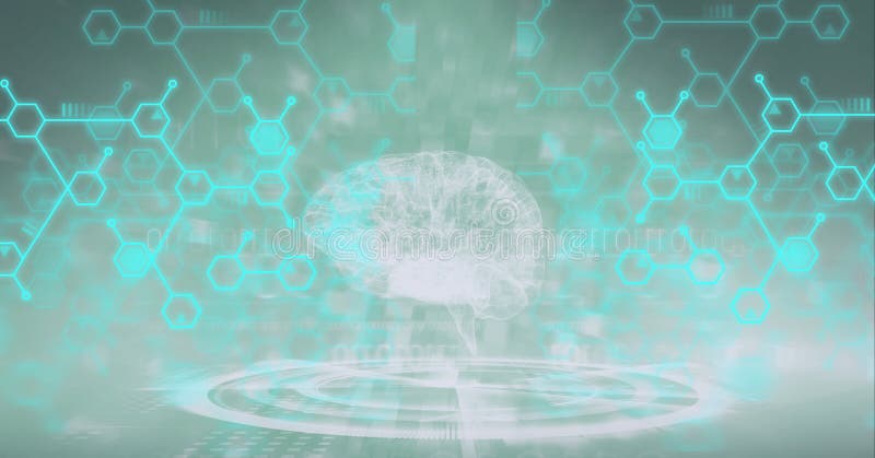 Composition of Human Brain and White Structures of Chemical Compounds ...