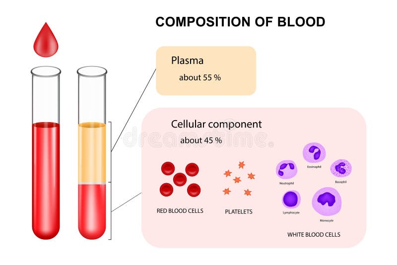 Composition en sang illustration de vecteur. Illustration du rouge ...