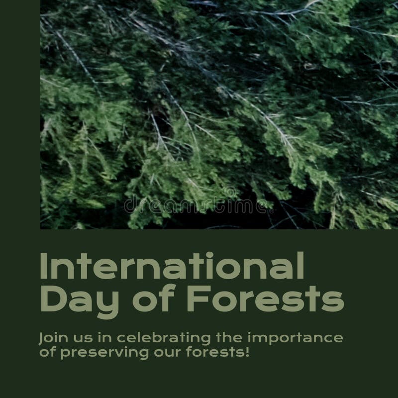 Composition of International Day of Forest Text and Trees in Forest ...