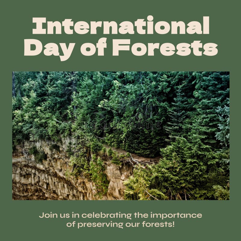 Composition of International Day of Forest Text and Trees in Forest ...