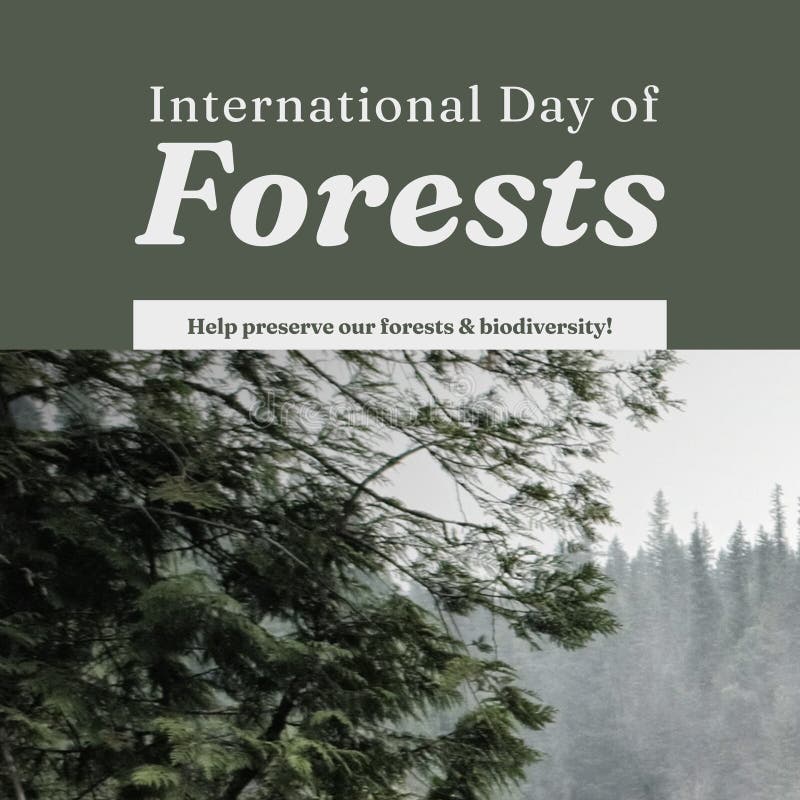 Composition of International Day of Forests Text and Trees Stock Photo ...