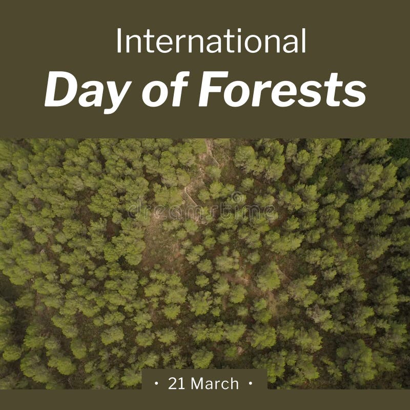 Composition of International Day of Forests Text and Trees Stock Photo ...