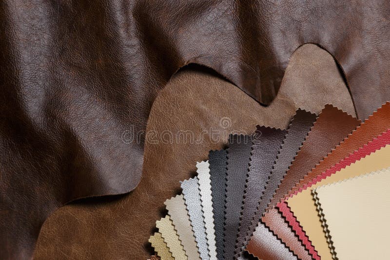 The Composition of Leather Samples on a Natural Cow Leather. Top View ...