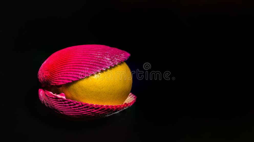 Composition with Lemon and Shells on a Black Background Stock Image ...
