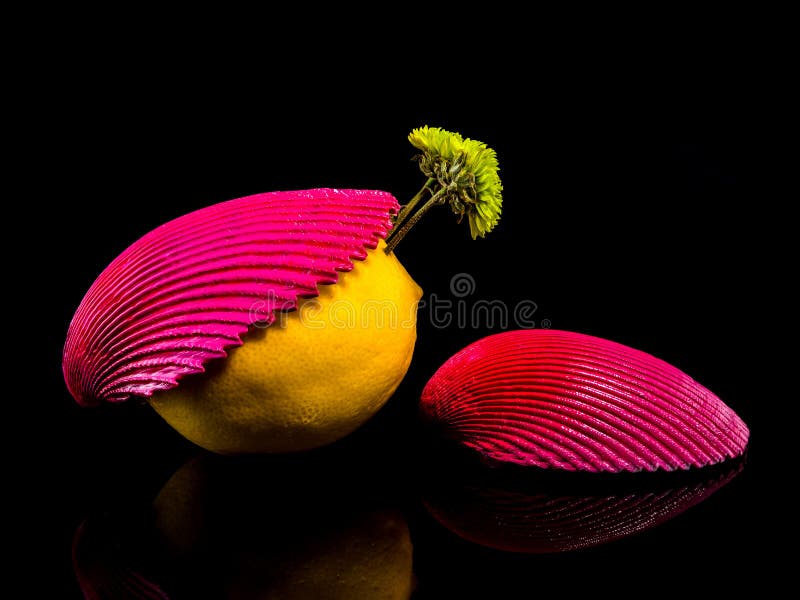 Composition with Lemon and Shells on a Black Background Stock Photo ...