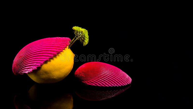 Composition with Lemon and Shells on a Black Background Stock Photo ...