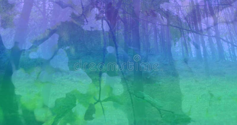 Composition of Light Spots Over Forest with Broadleaf Trees Stock Image ...