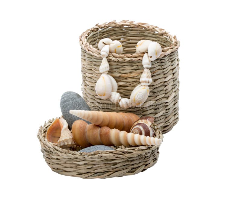 The Composition Made of Shells Stock Photo - Image of coast, collection ...