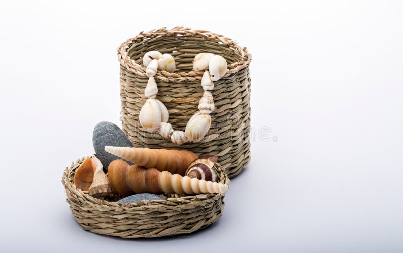 The Composition Made of Shells Stock Photo - Image of postcard ...