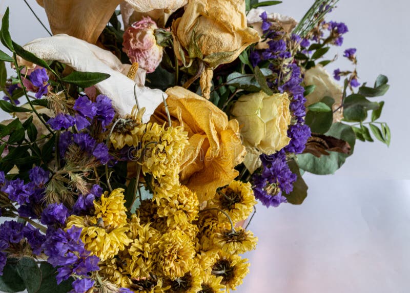 A Composition of Many Different Colored Flowers from Dry, Dried Flowers ...