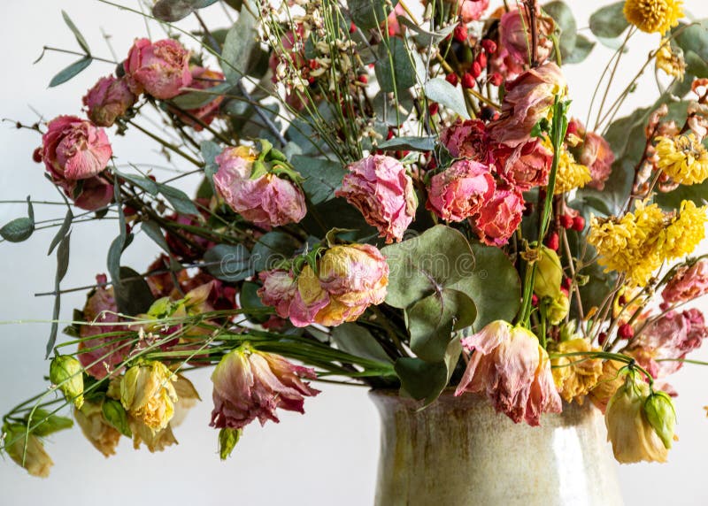 A Composition of Many Different Colored Flowers from Dry, Dried Flowers ...