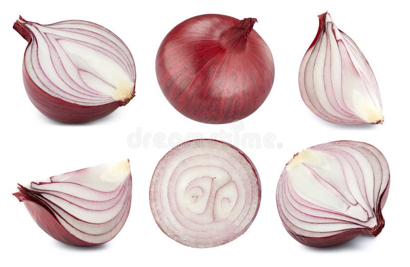 Composition of Many Fresh Onion Stock Illustration - Illustration of ...