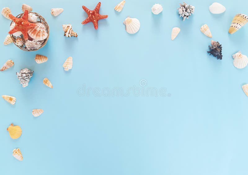 Composition of Many White, Beige, Black Exotic Seashells Different ...