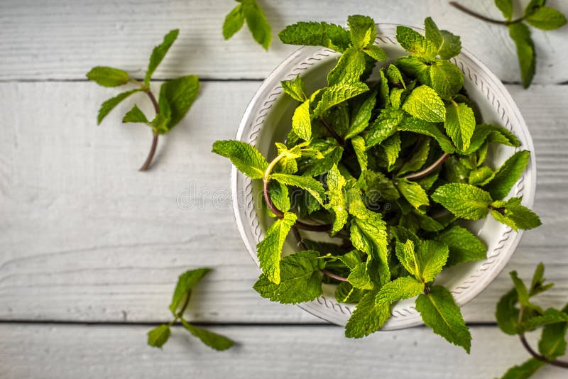 Composition of the Mint Leaves on the White Wooden Table Top View Stock ...