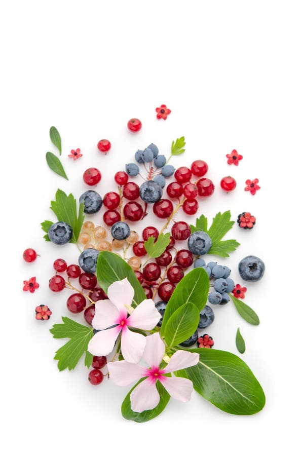 Composition from Multi-colored Berries and Leaves on a White Background ...