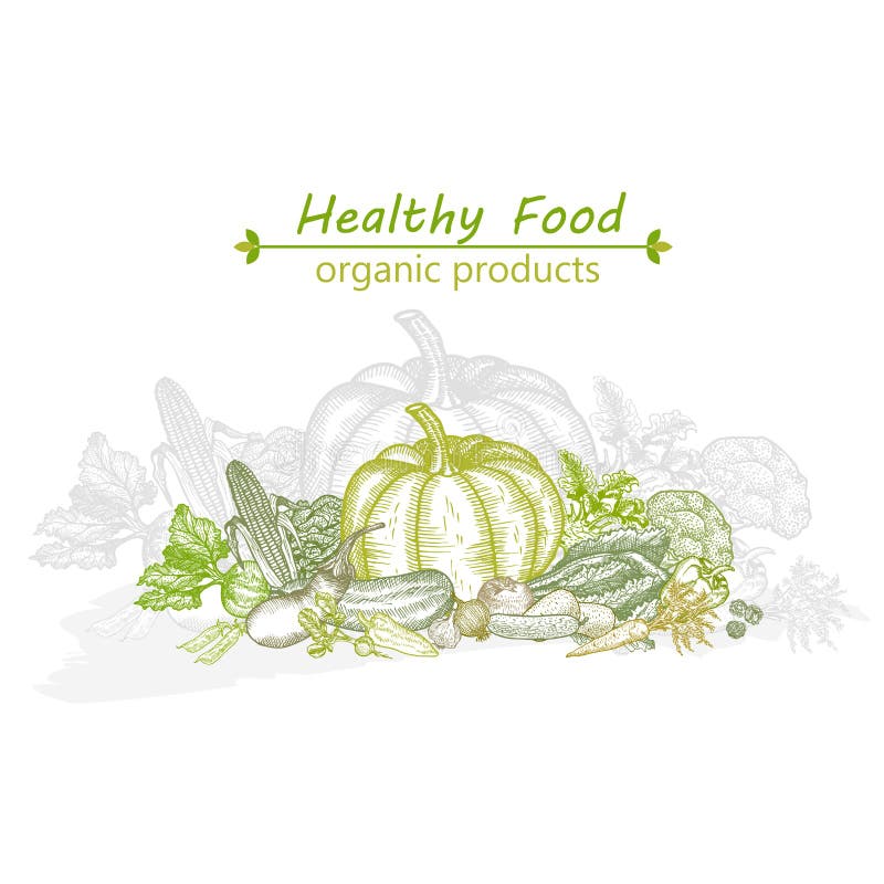 The Composition of Natural Vegetables. Graphic Vector. Stock Vector ...