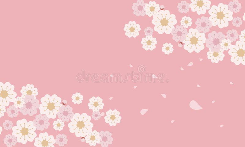 Beautiful Minimalist Cherry Blossom Background. Japanese Sakura Design ...