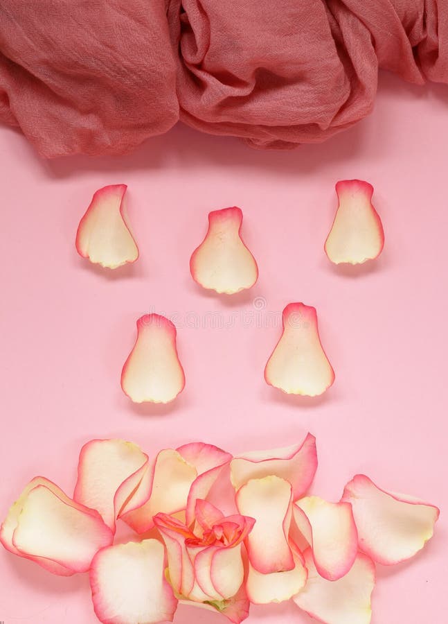 Composition with Pink Roses, Petals Stock Photo - Image of anniversary ...