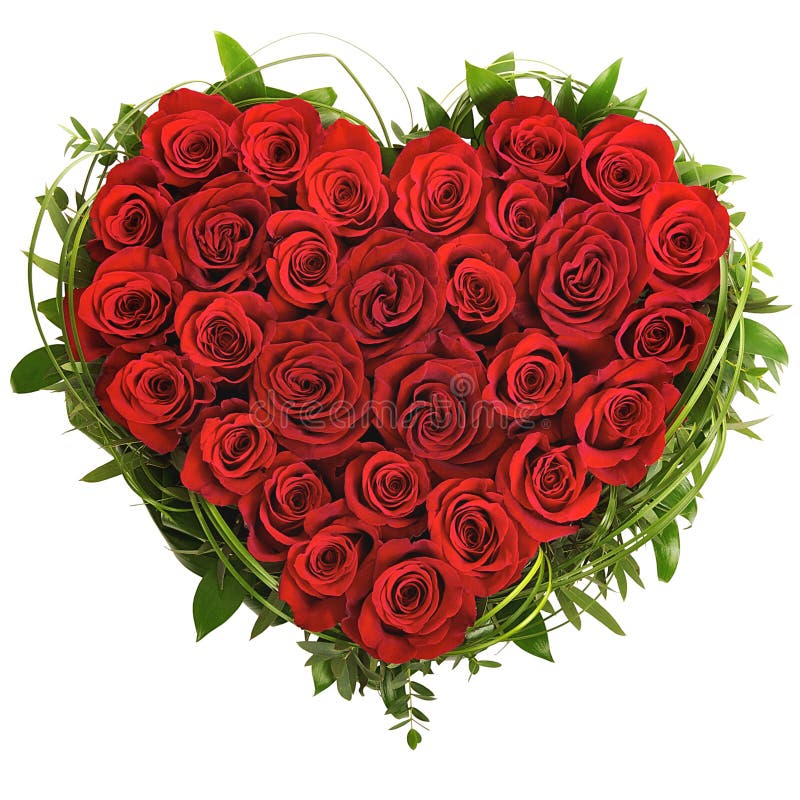 Heart of roses stock image. Image of birthday, beautiful - 111244259