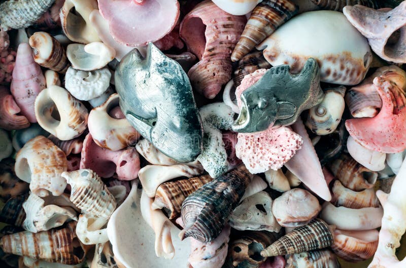 Composition of Sea Shells and Silver Jewelry Fish Stock Photo - Image ...