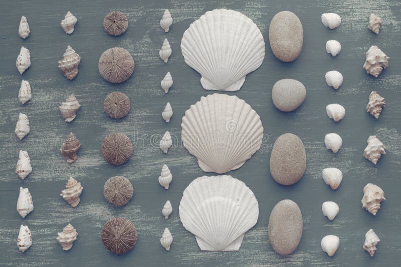 Sea Shells on a Worn Out Table Stock Image - Image of space, tropical ...