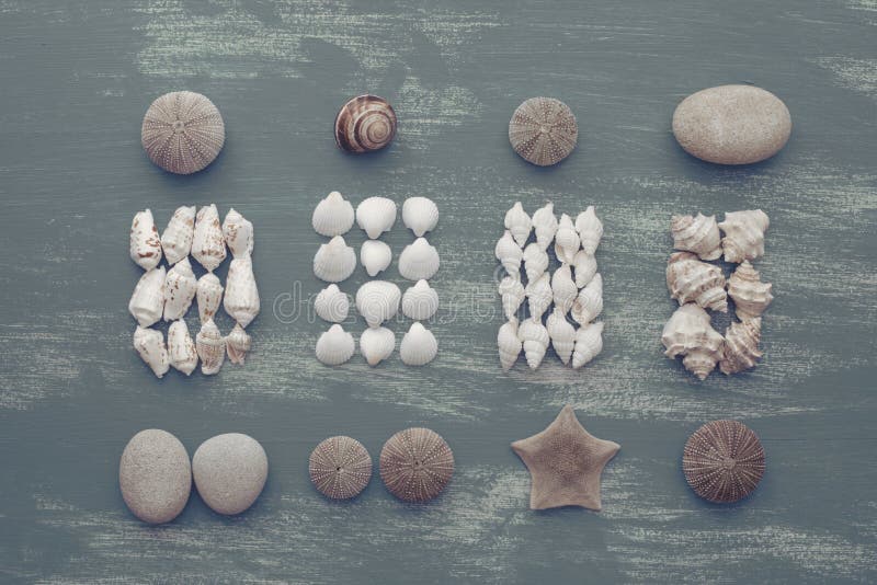 Sea Shells on a Worn Out Table Stock Image - Image of space, tropical ...