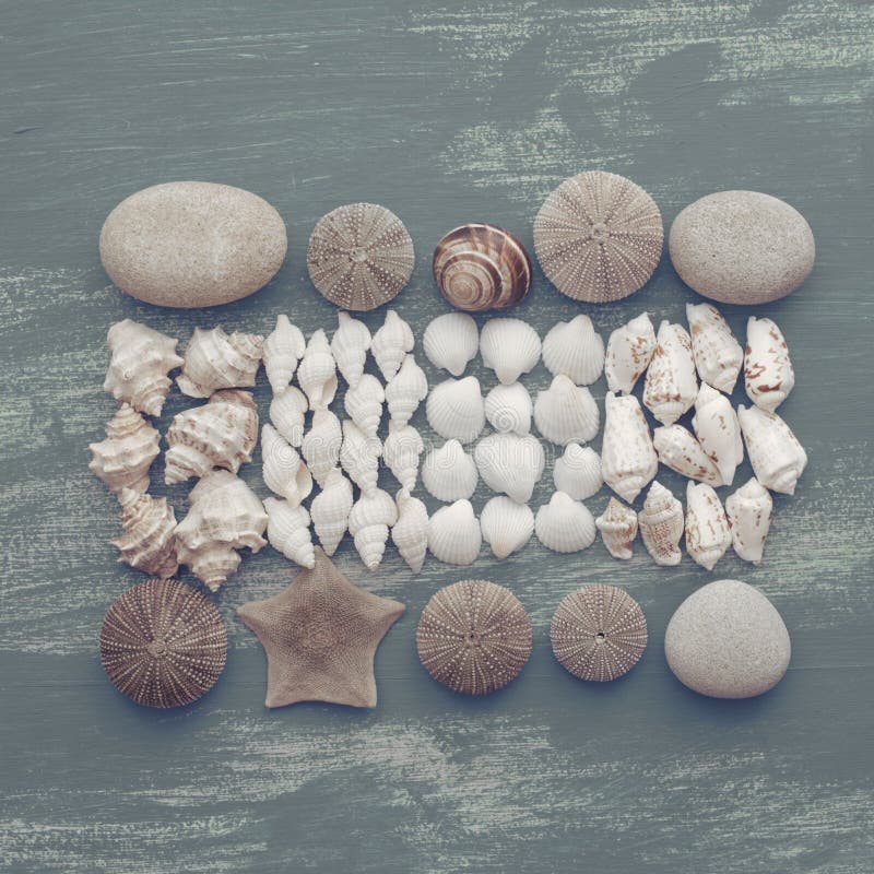 Sea Shells on a Worn Out Table Stock Image - Image of space, tropical ...