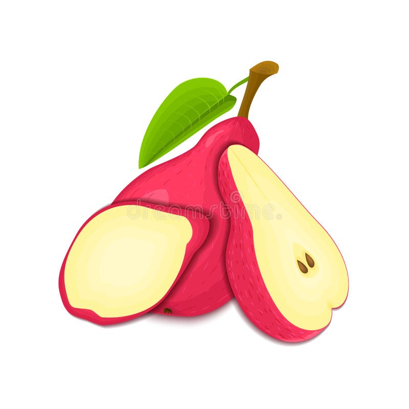 Composition of Several Pears. Red Vector Pear Fruits Whole and Slice ...