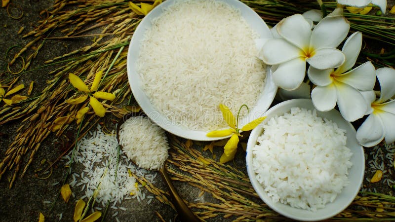 The Composition Shows the Story of Rice. Stock Photo - Image of ...