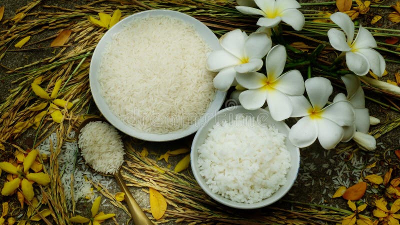 The Composition Shows the Story of Rice. Stock Photo - Image of ...
