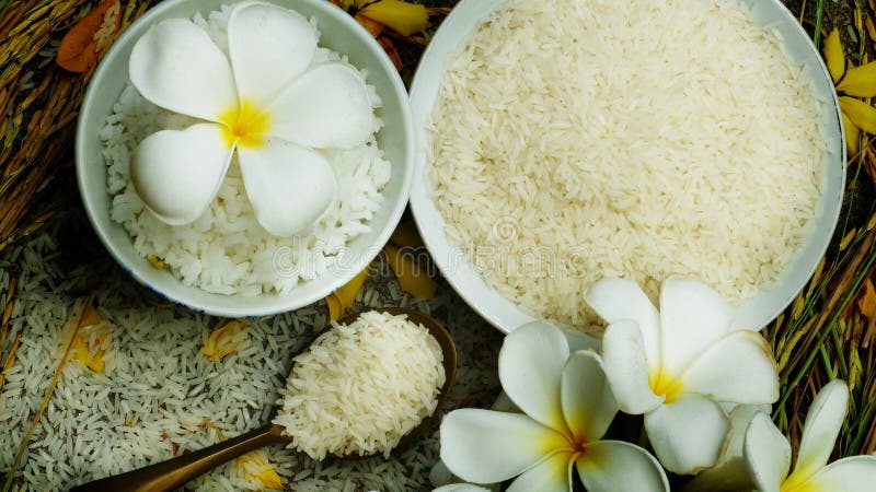 The Composition Shows the Story of Rice. Stock Image - Image of long ...
