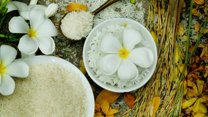 The Composition Shows the Story of Rice. Stock Photo - Image of dietary ...