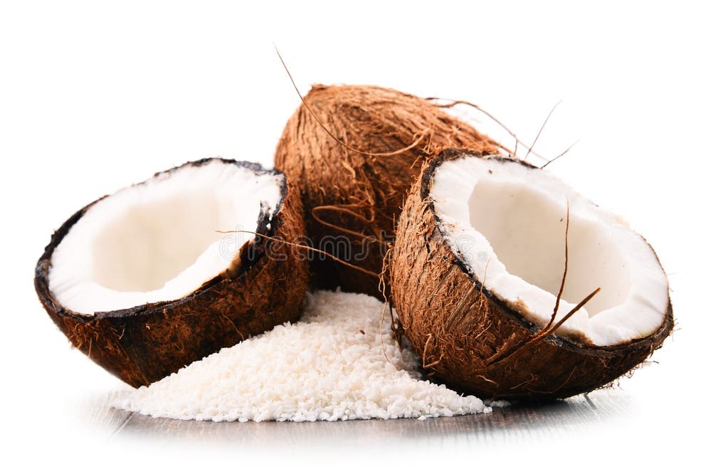 Composition with Shredded Coconut and Shells Isolated on White Stock ...