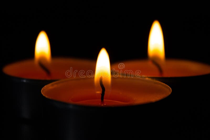 Micromt - Photographer profile