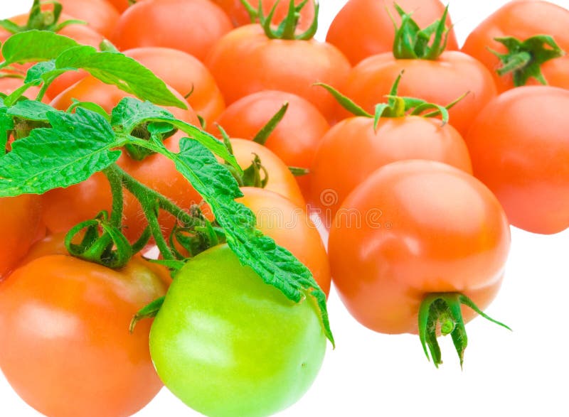 Composition of tomato stock photo. Image of summer, agriculture - 12634848