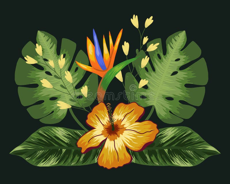 Composition with Tropical Flowers and Strelitzia, Leaves Palm and ...