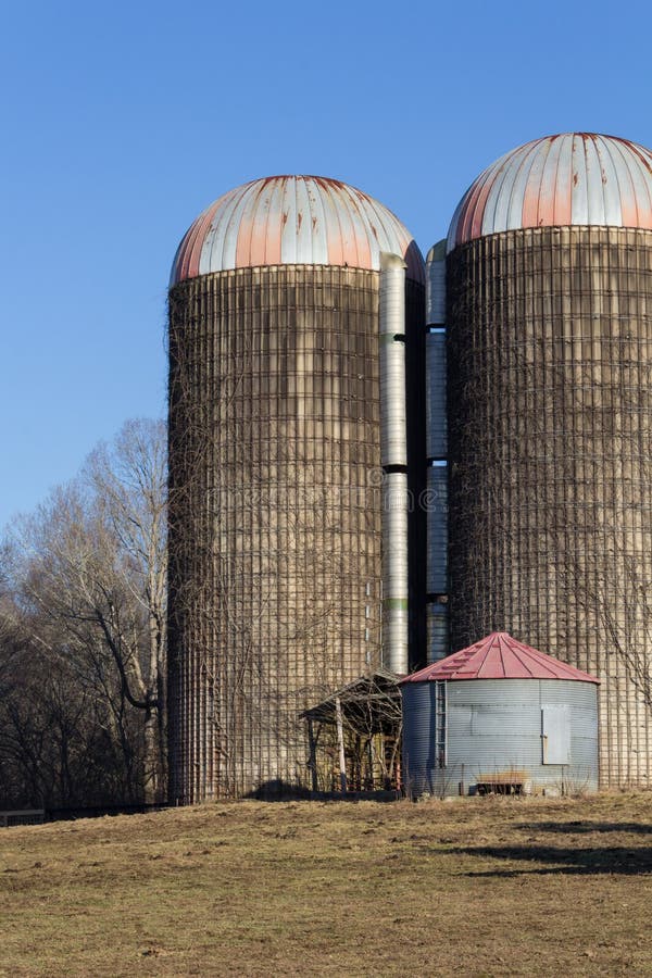 Small Silo for Grain Storage in the Background, with Blurred Corn ...