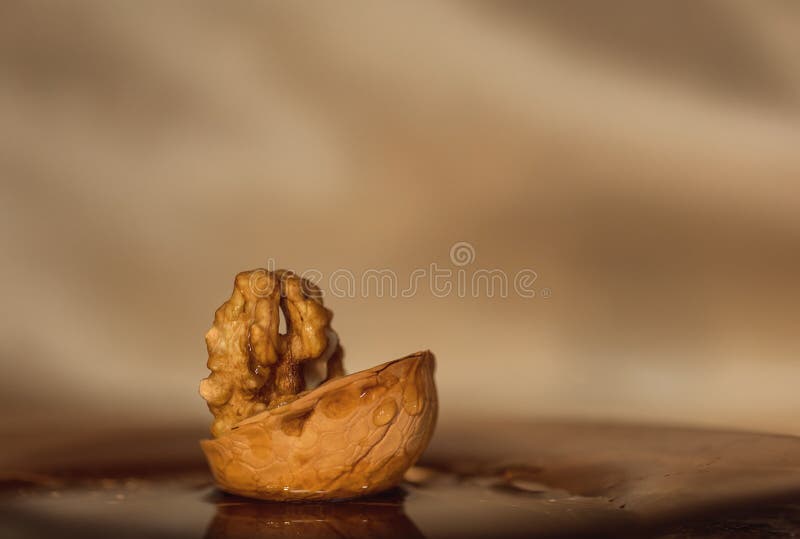 Composition of Walnuts on a Beige Background. the Boat is Floating on ...