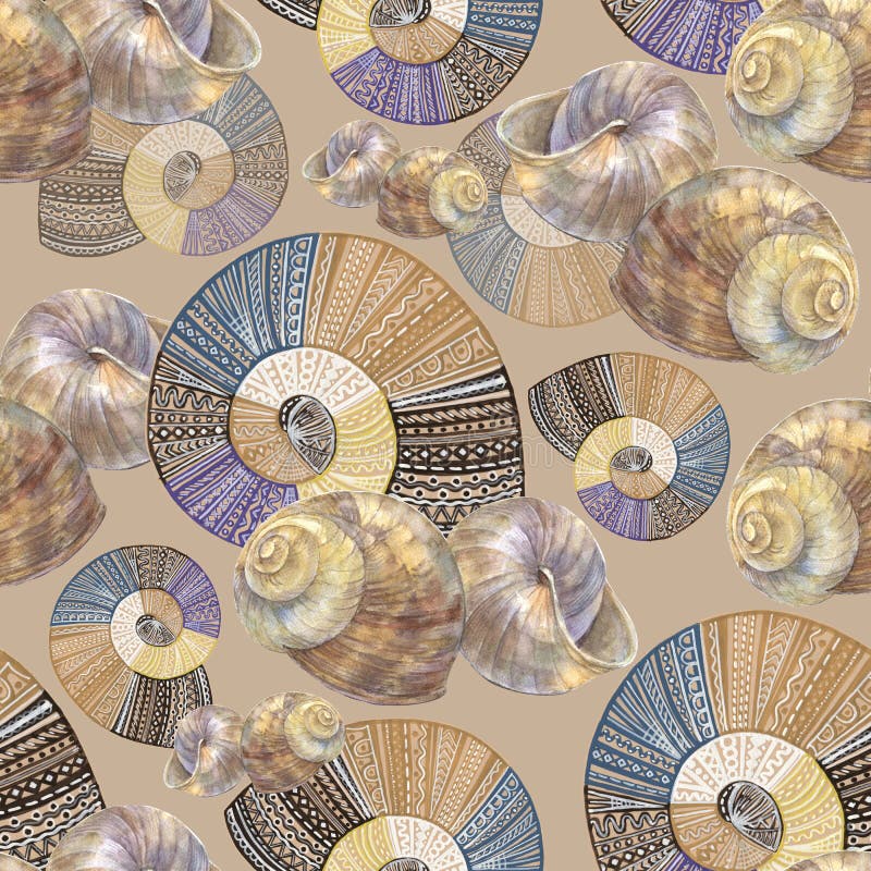 Composition from Watercolor Forest Shell with Decorative Shell ...