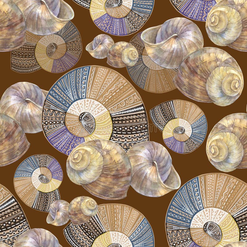 Composition from Watercolor Shell and Decorative Shell. Illustration ...
