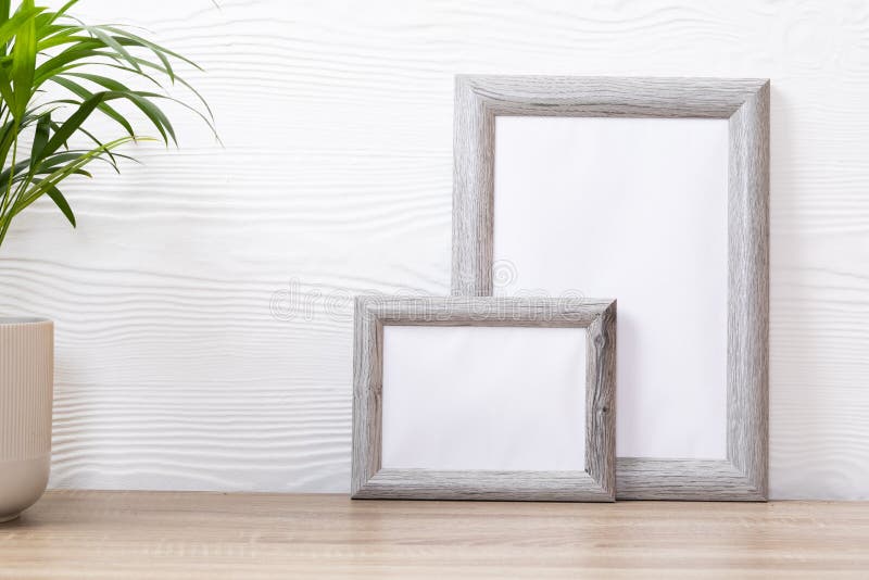 Composition of White Cards in Frames with Copy Space and Plant on White ...