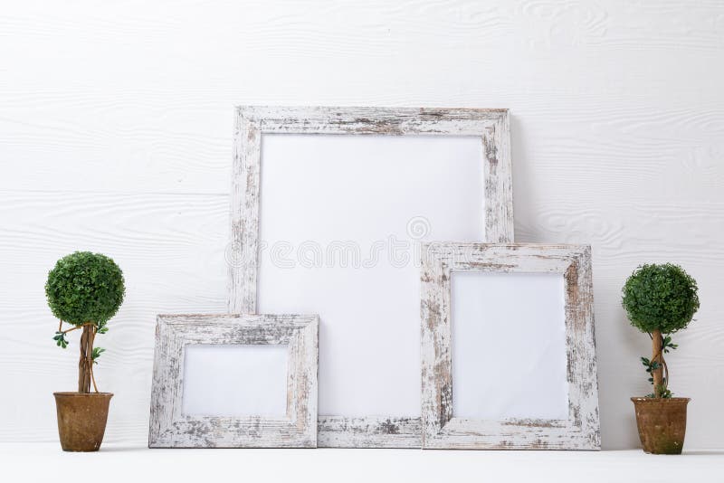 Composition of White Cards in Frames with Copy Space and Tree ...